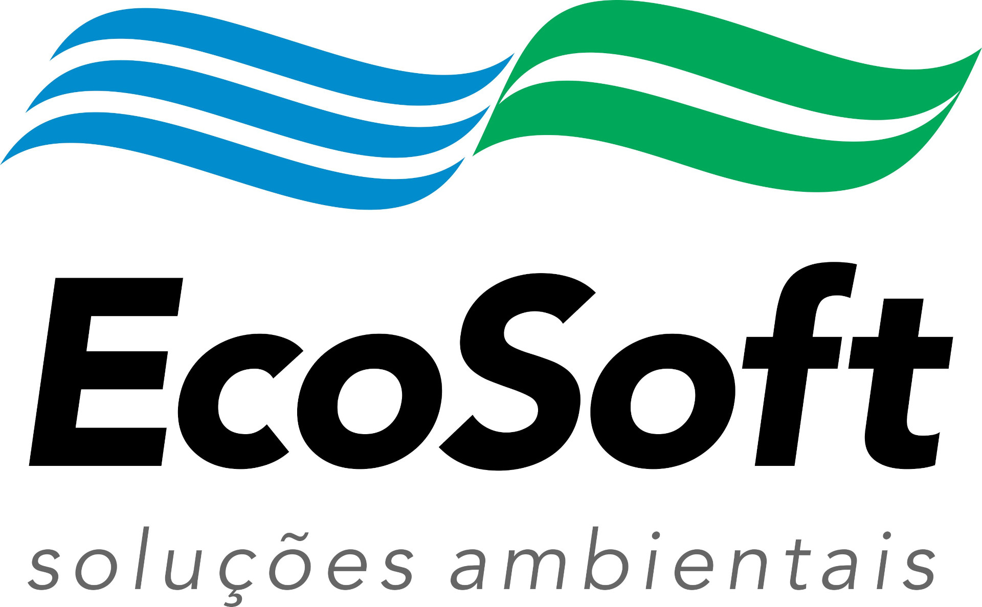 EcoSoft celebra contrato com a C40 Cities para projeto de monitoramento ...